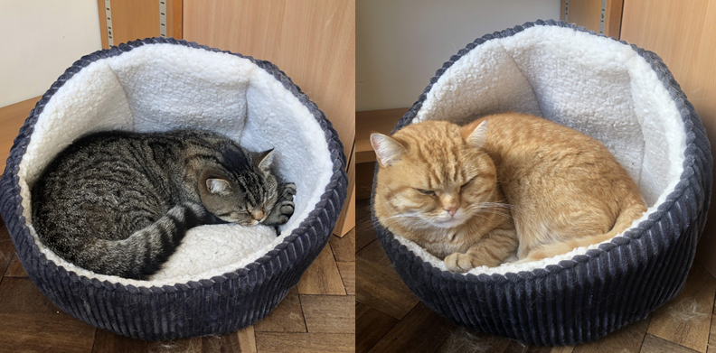 Submitting A Motion – St Hugh's College MCR